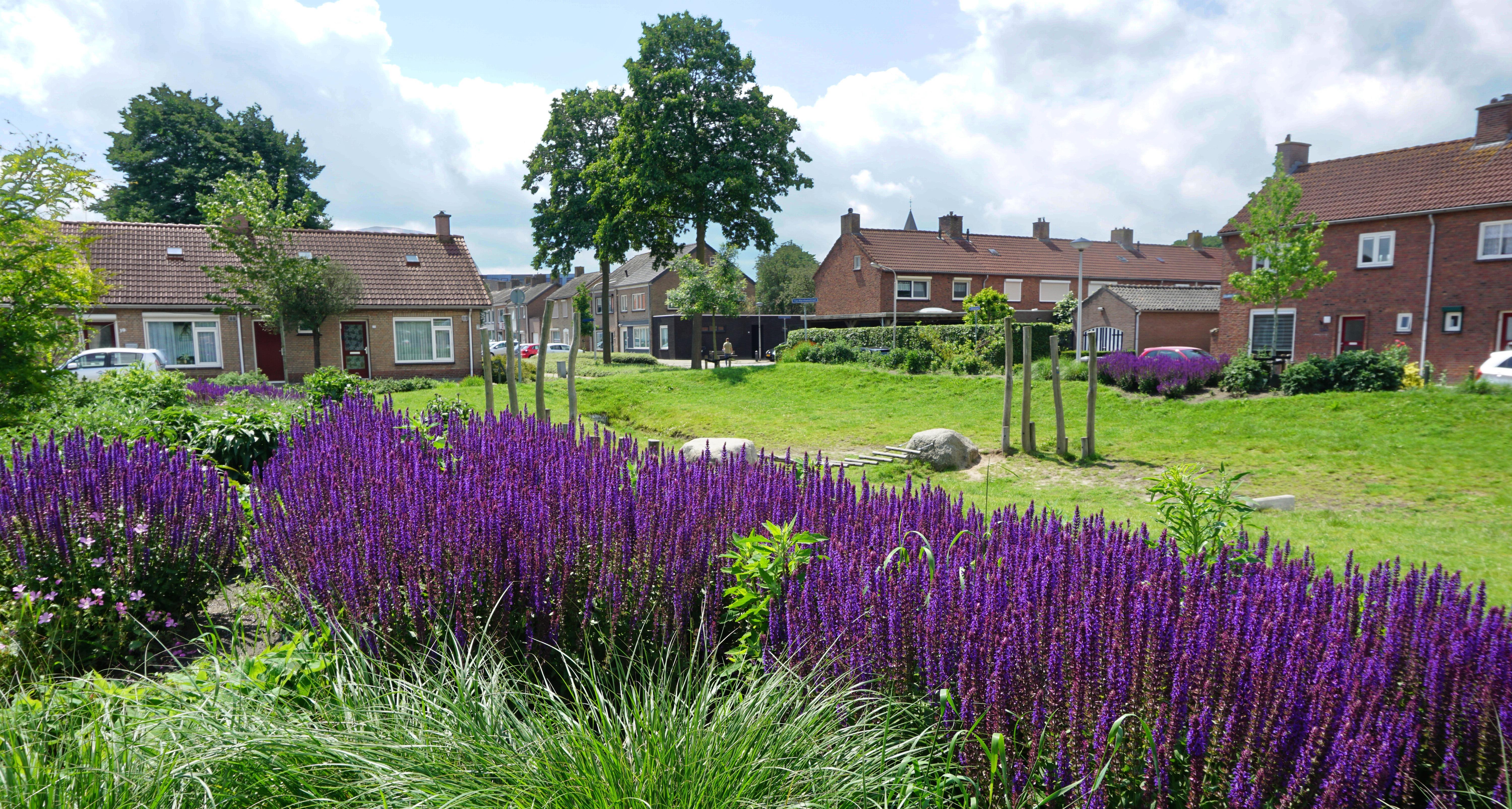 Voorwoord | Omgevingsvisie 2.0 Rucphen