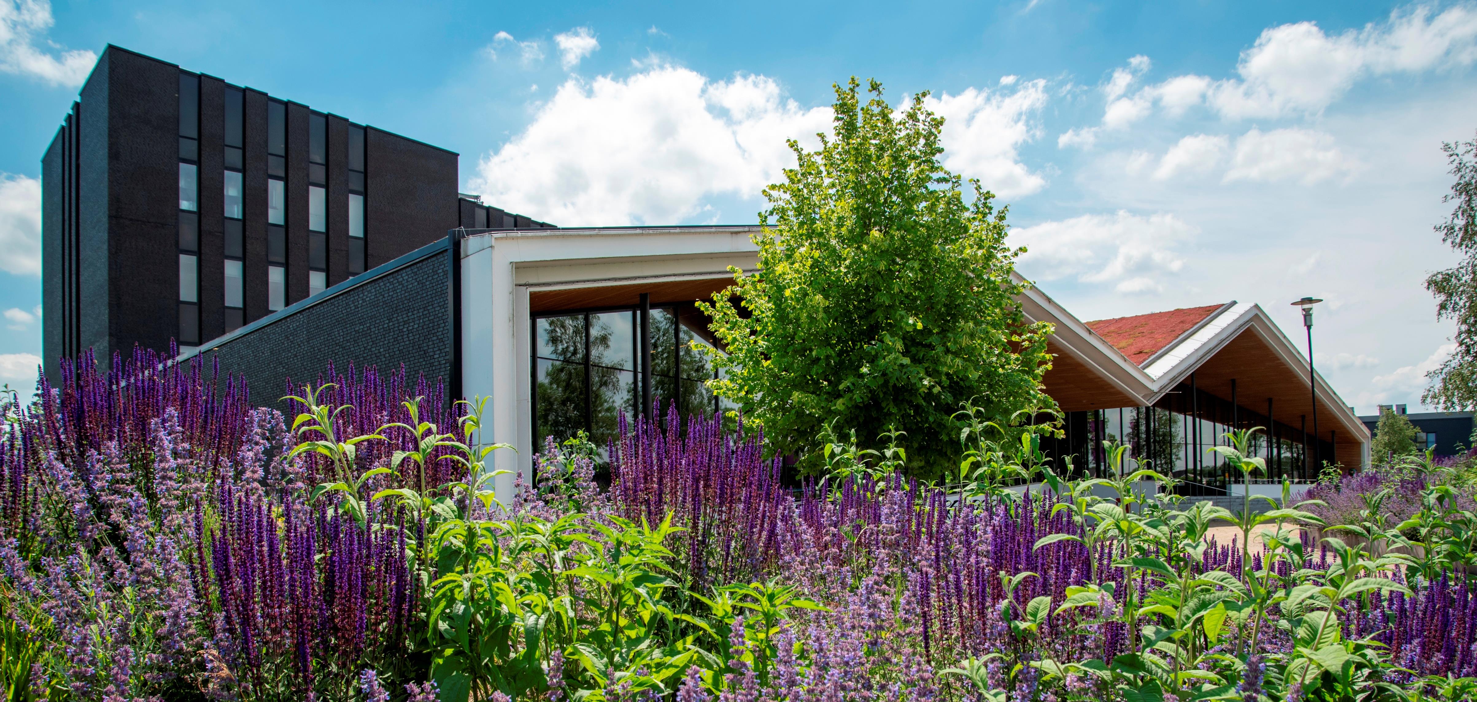 Doorwerking | Omgevingsvisie 2.0 Rucphen